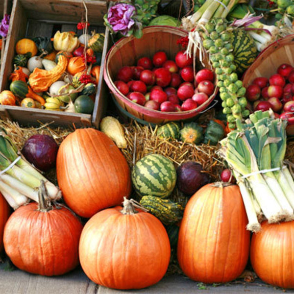 Muzzarelli Farms,, Fruits& Vegetables Organic, 3460 Oak Road